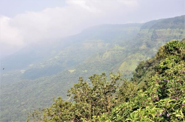 Amboli Ghat